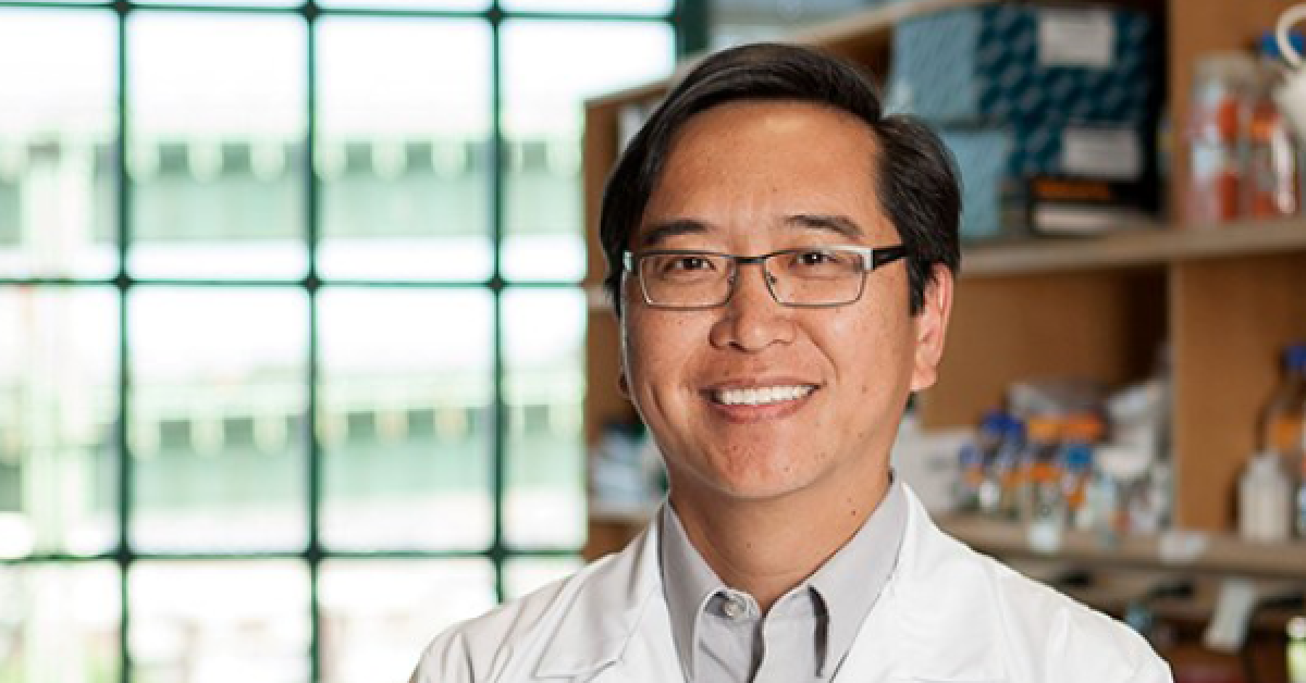 Lee Zou Named New Chair of Department of Pharmacology and Cancer ...